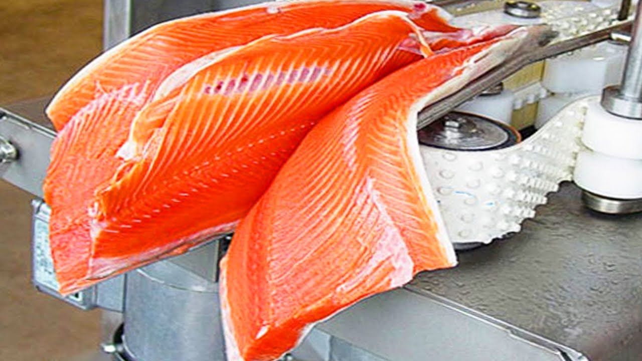 News: AMAZING Food Cutting Machine: Salmon Processing With Marel Fish Machines
